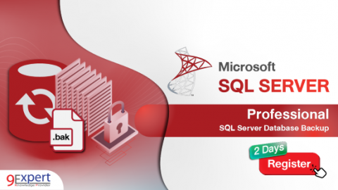 SQL Server Programming - Stored Procedure | 9Expert